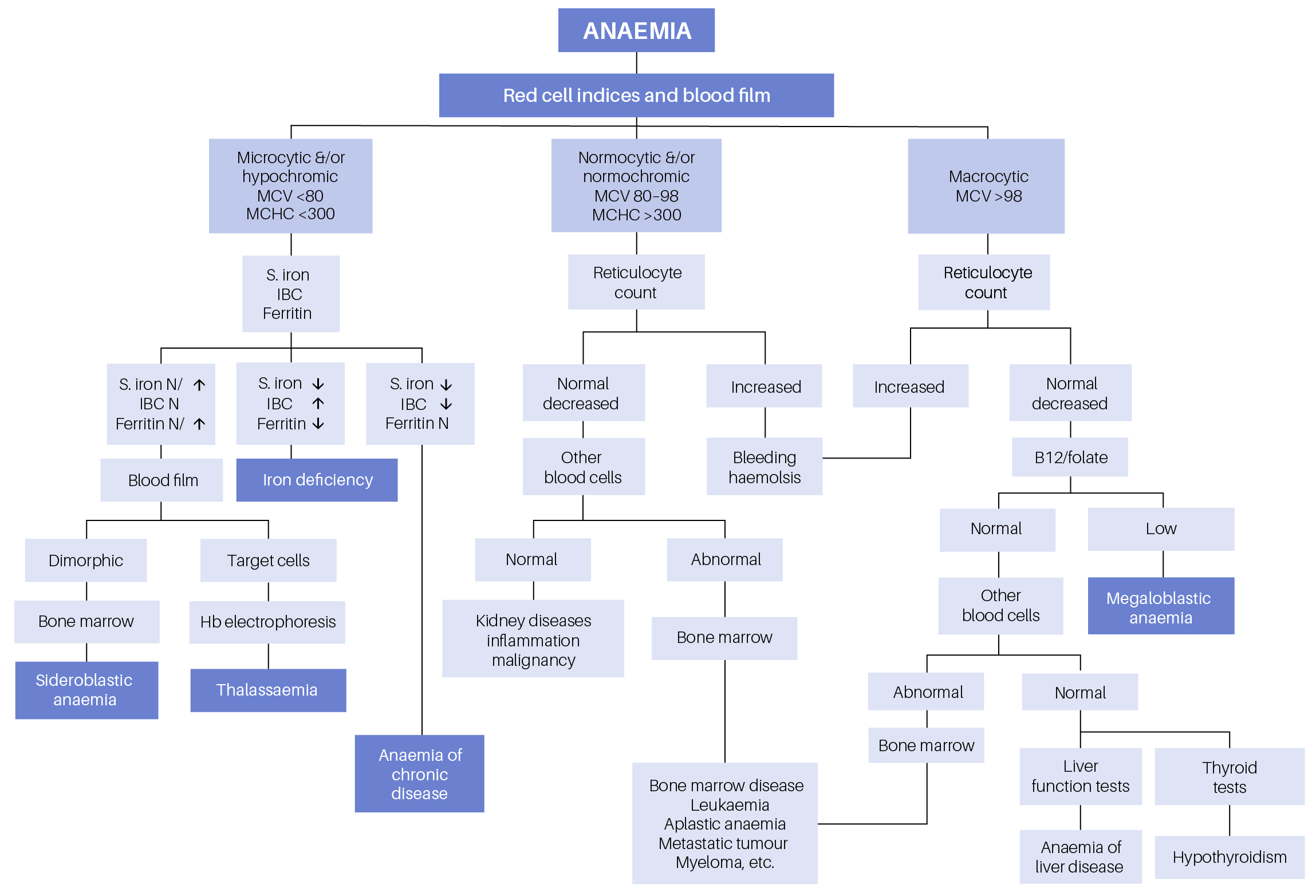 Anaemia | Sonic Bookings